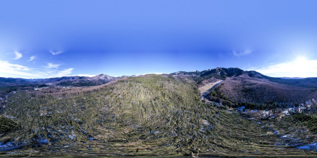 Zeci de mii de hectare de pădure, distruse de super-furtuna de la ...